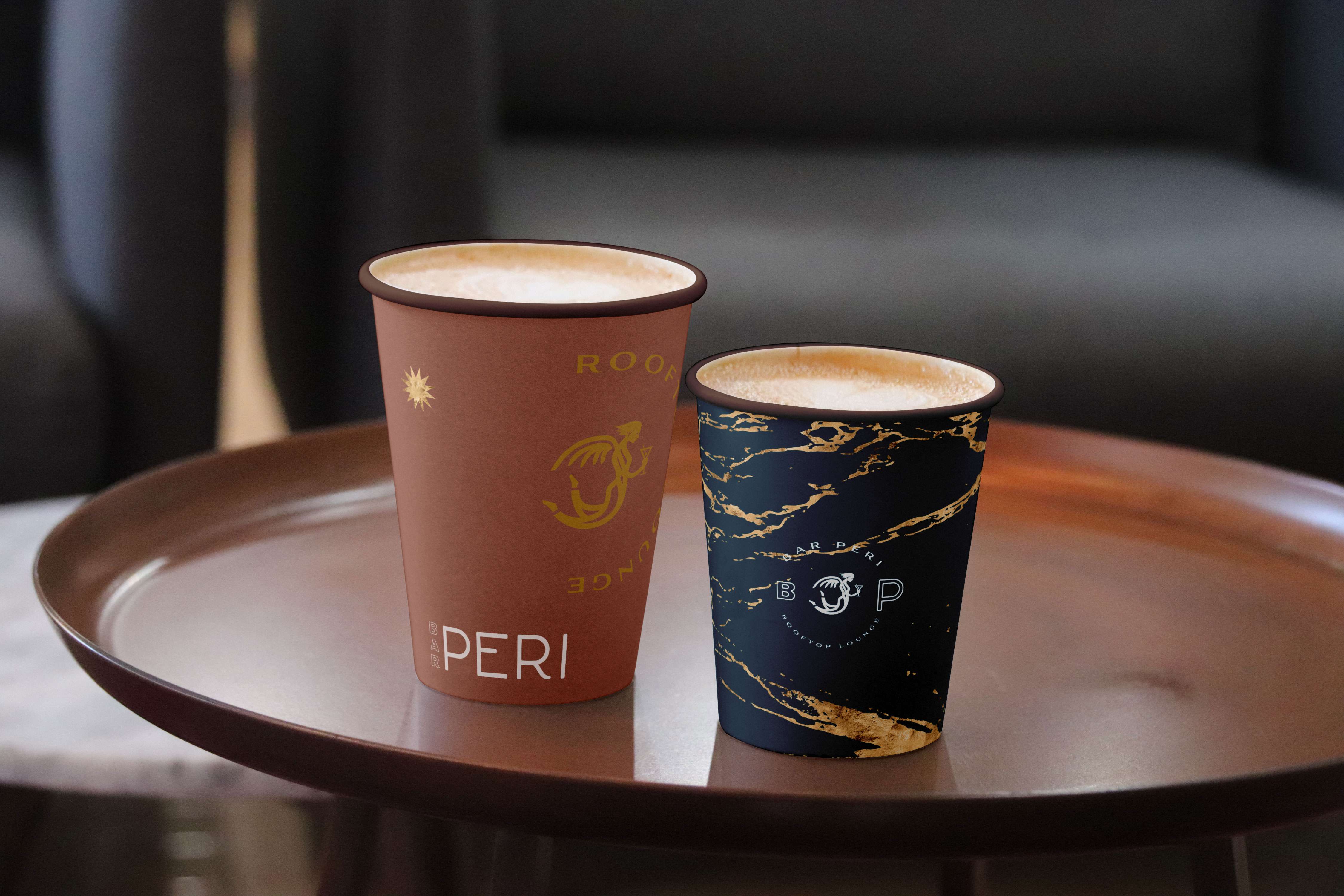 Project Spotlight: Bar Peri