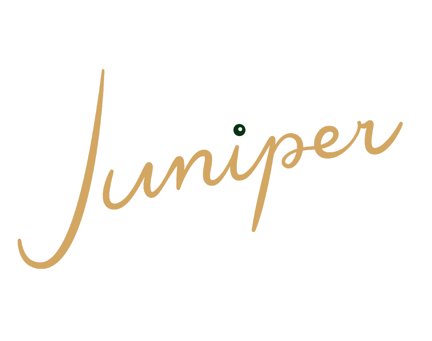Project Spotlight: Juniper Rooftop Restaurant & Bar